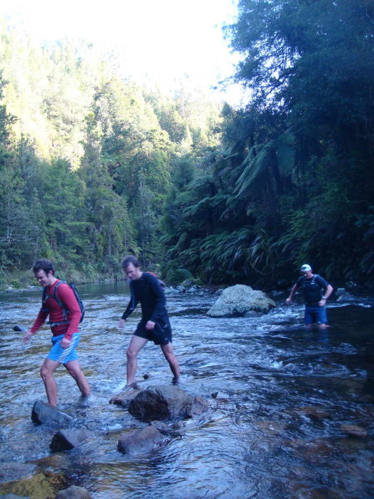 The Kaimai Killer | Running Wild – Run, Explore, Share